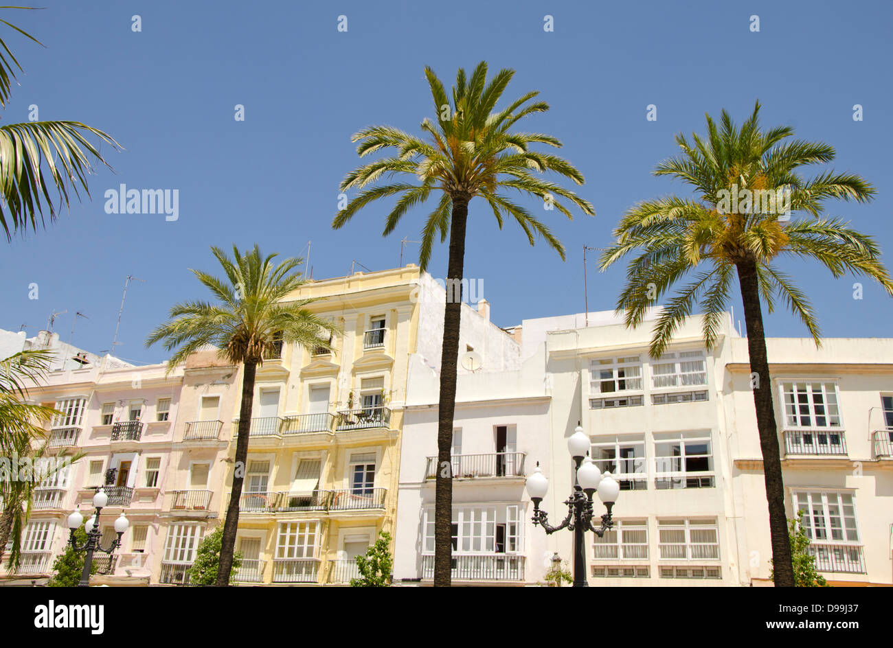 Coloured buildings and palm trees at cathedral square in the town of ...