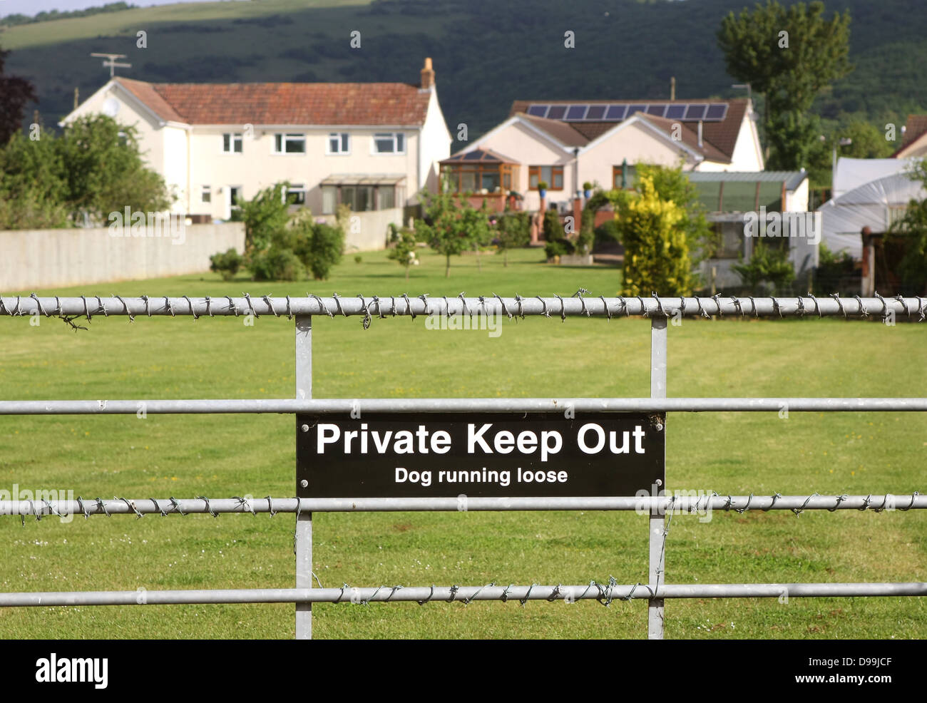 Dog running loose, private keep out sign on a gate, with houses in the ...