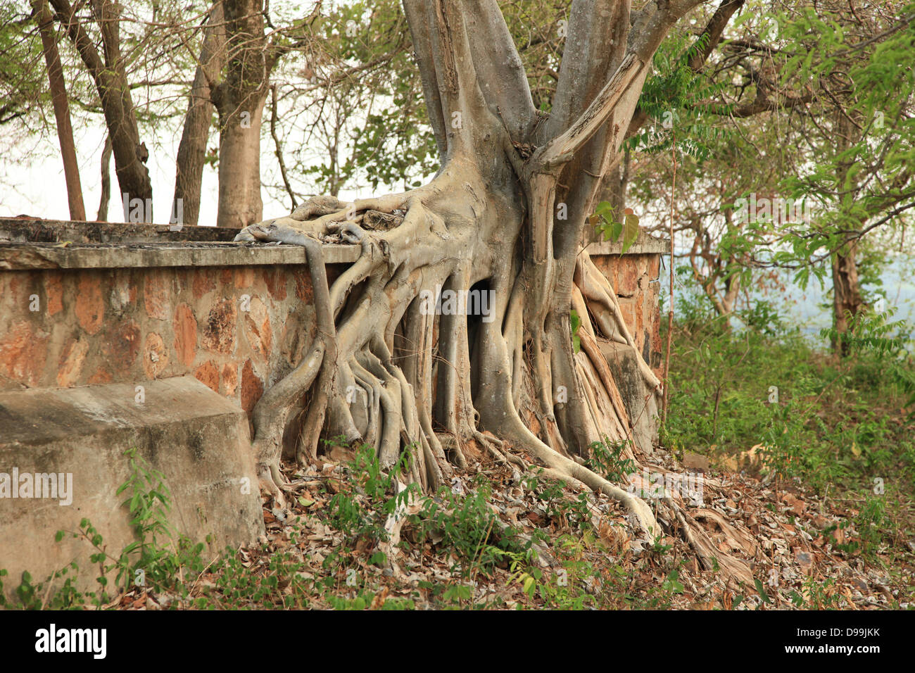 Temple between Siem Reap and the Lake Stock Photo - Alamy