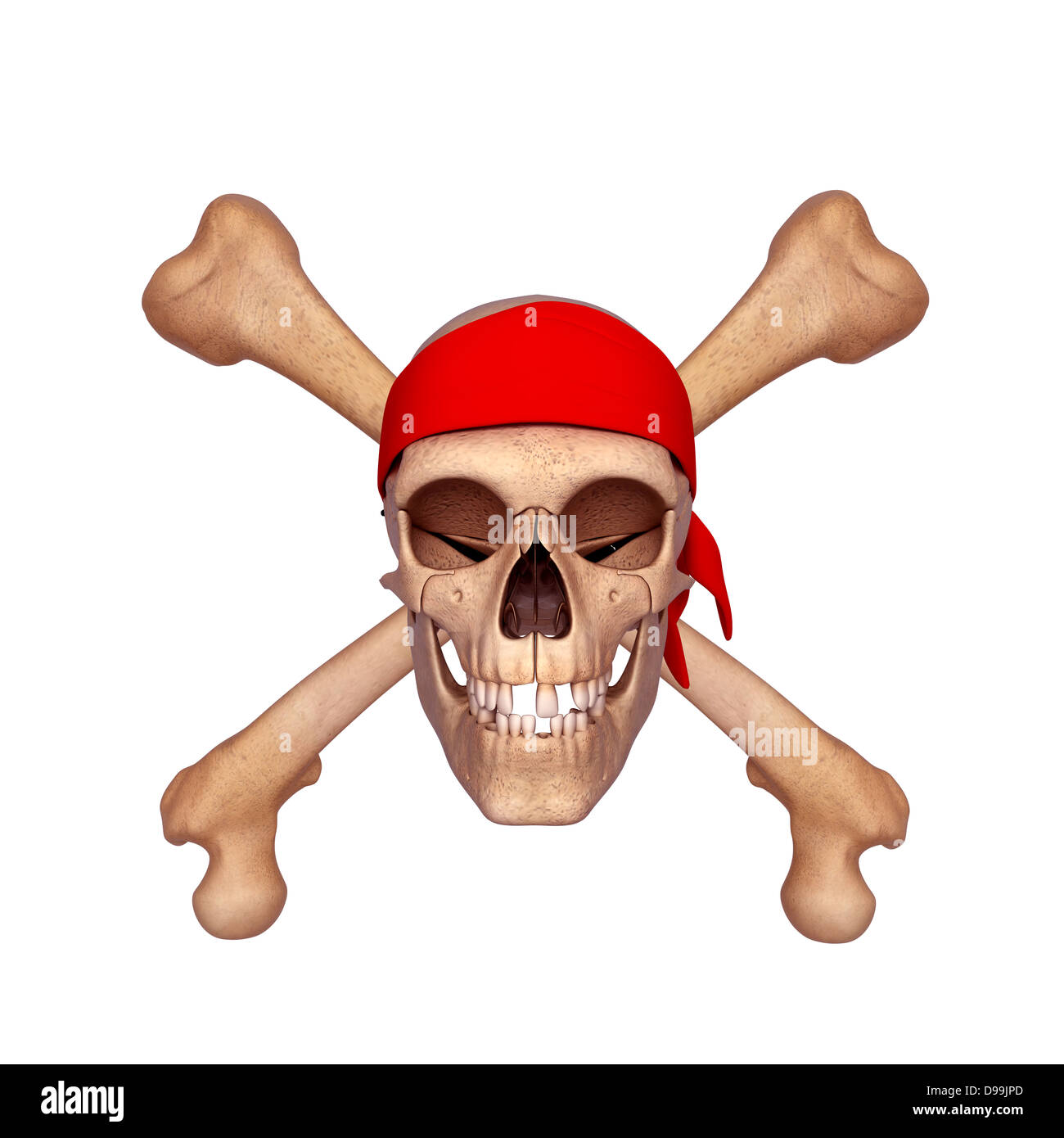 Skeleton skull with bones isolated with white Stock Photo - Alamy