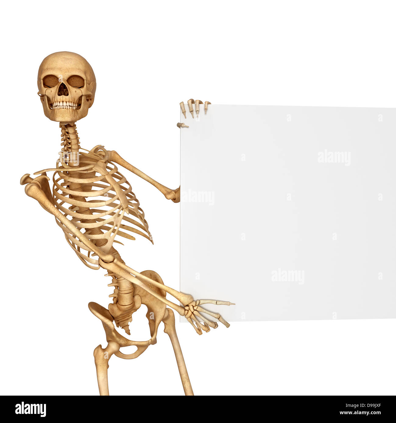Skeleton is standing near sign Stock Photo - Alamy