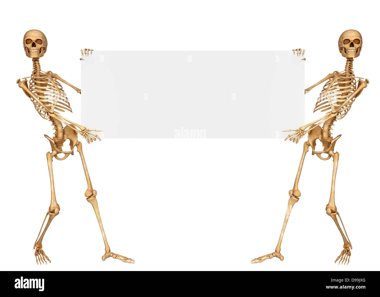 Skeleton standing near sign hi-res stock photography and images - Alamy