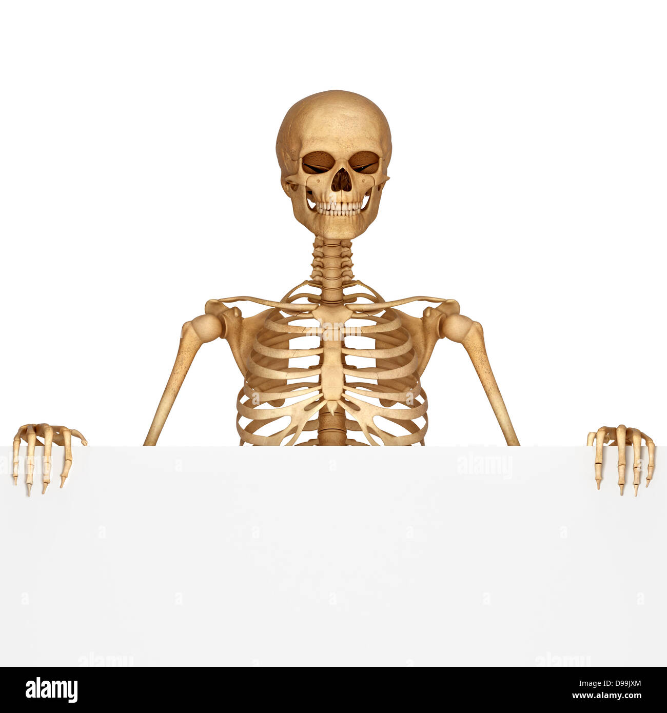 Skeleton standing near sign hi-res stock photography and images - Alamy
