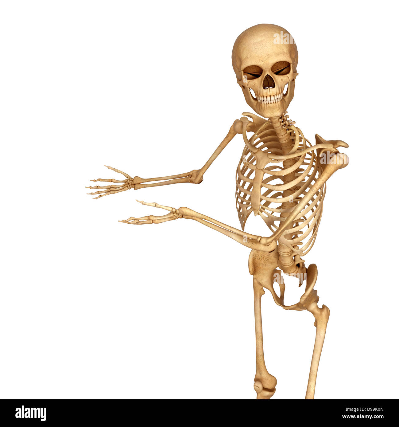 Skeleton skull with bones isolated with white Stock Photo - Alamy