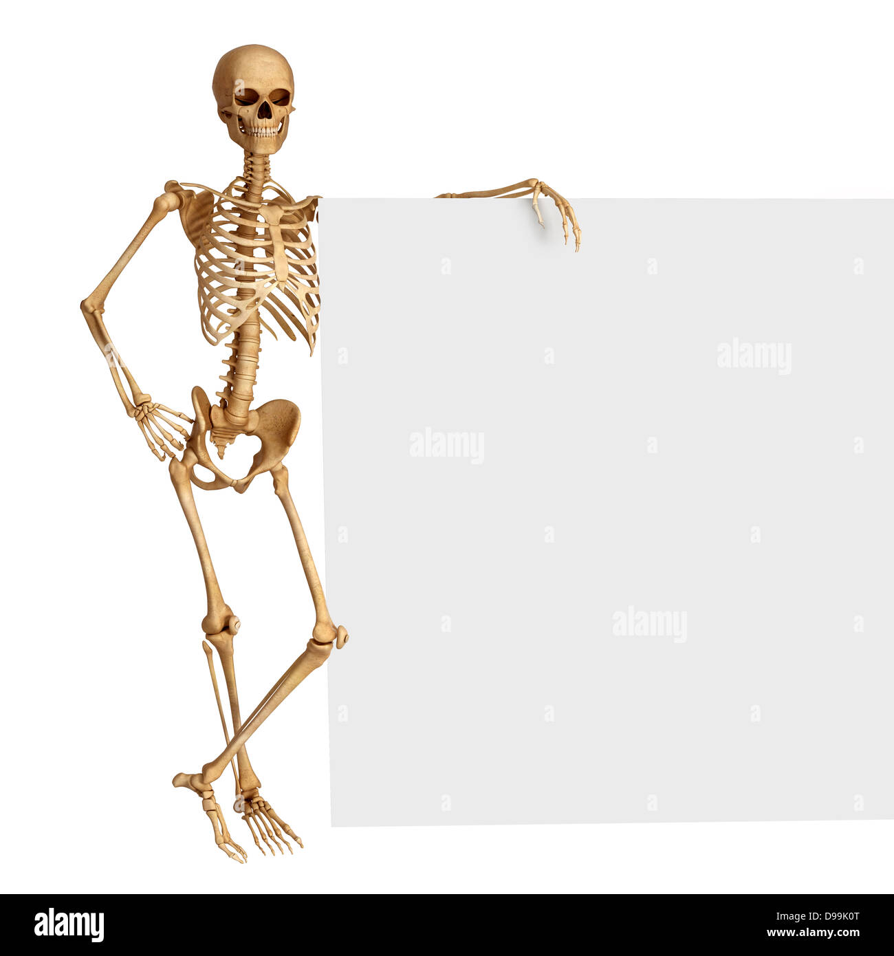Skeleton standing near sign hi-res stock photography and images - Alamy