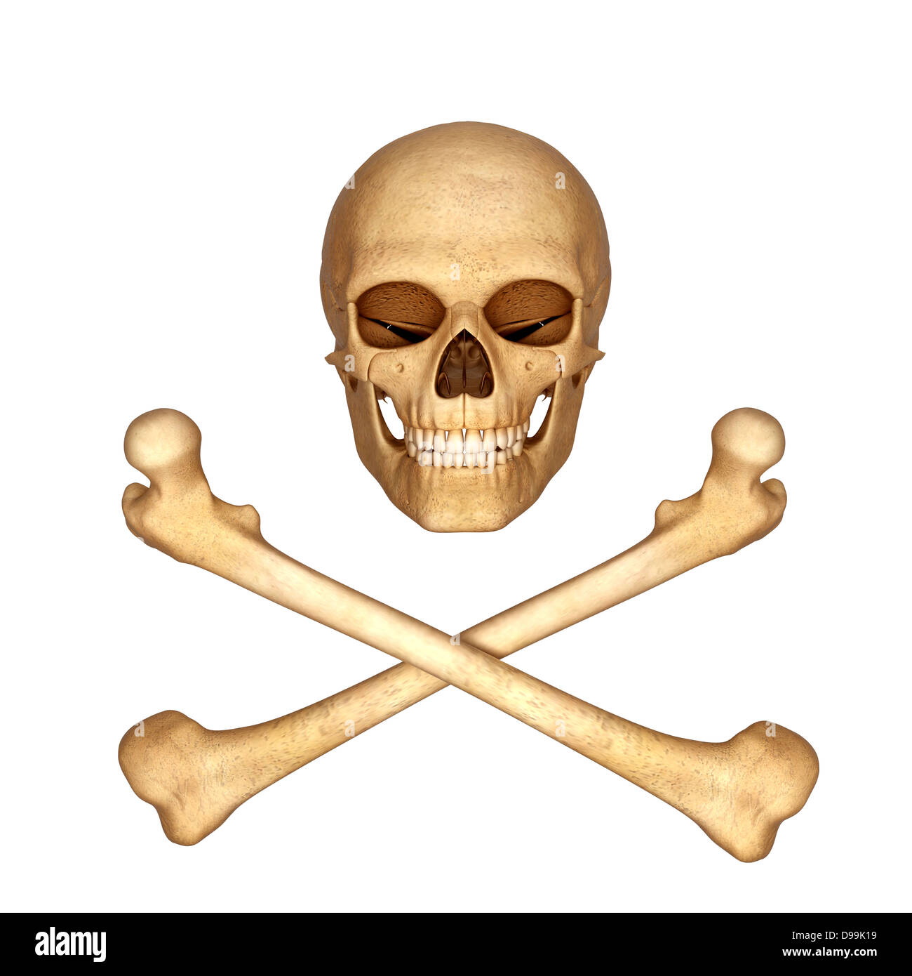 Skeleton skull with bones isolated with white Stock Photo - Alamy
