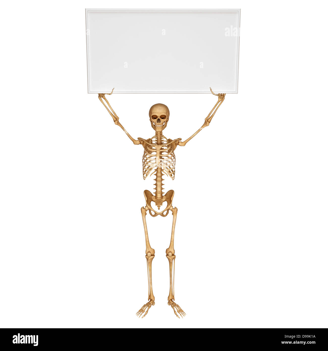 Skeleton is standing near sign Stock Photo - Alamy