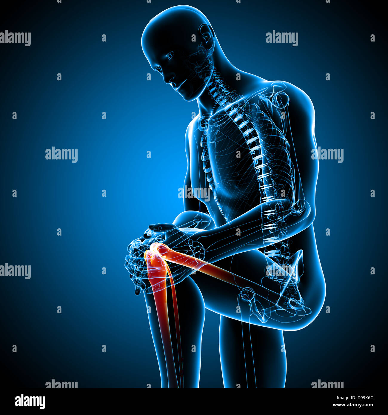 anatomy of male knee pain Stock Photo - Alamy