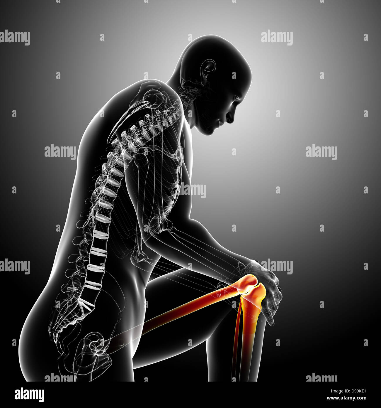 anatomy of male knee pain Stock Photo - Alamy