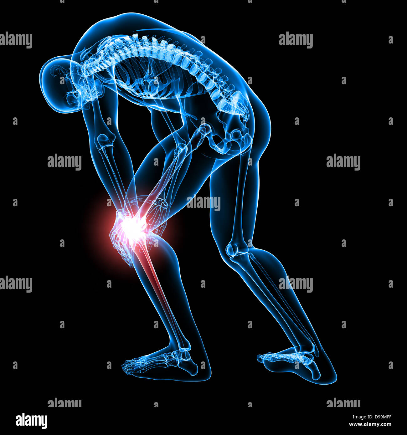 Human knee pain anatomy Stock Photo - Alamy