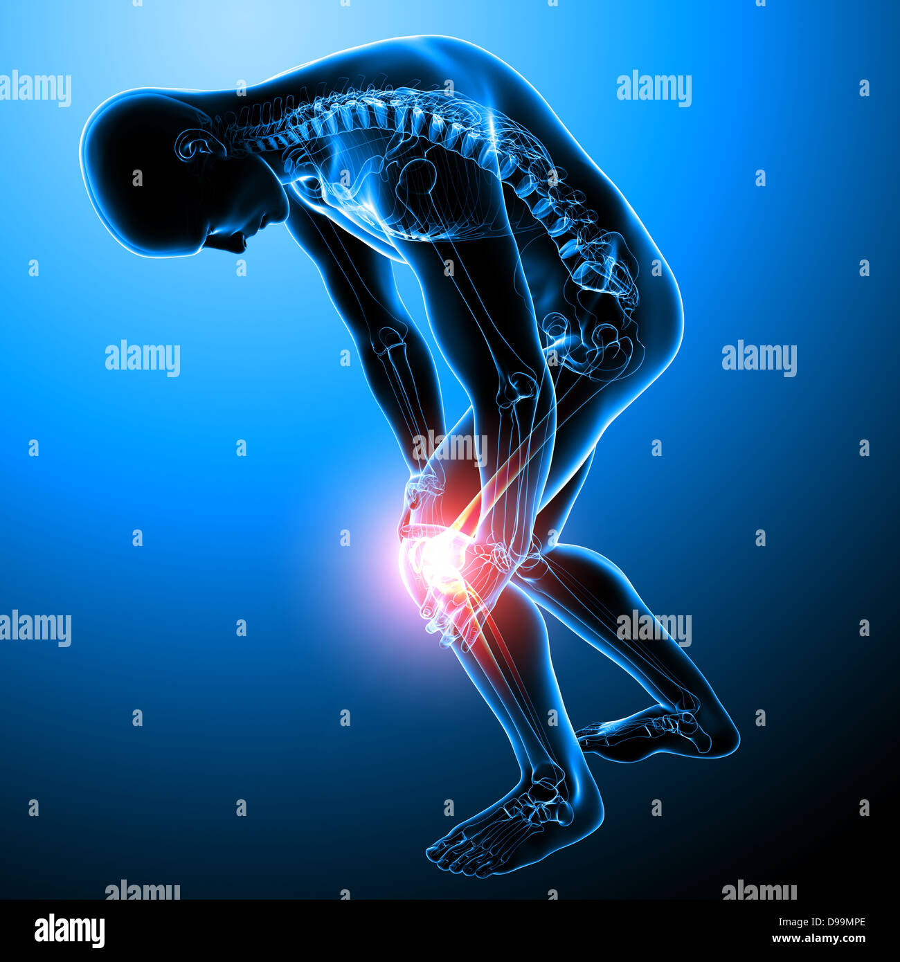 Human knee pain anatomy Stock Photo - Alamy