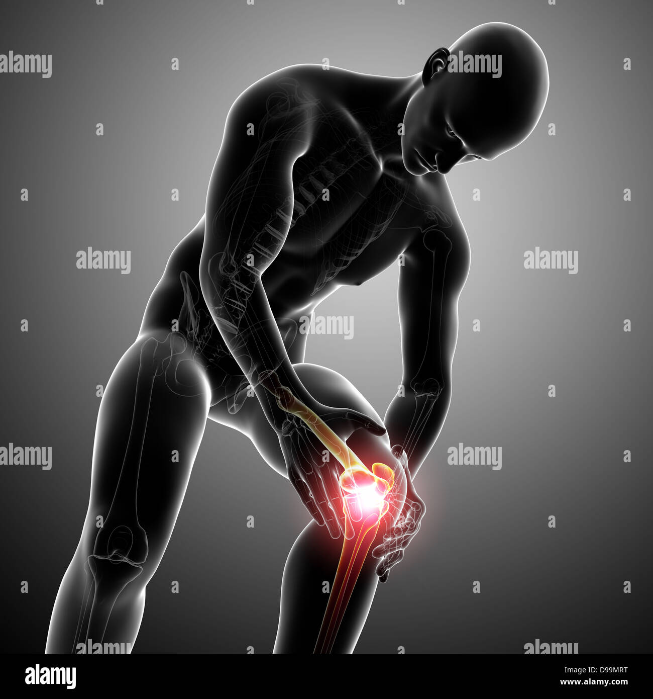 Human knee pain anatomy Stock Photo - Alamy