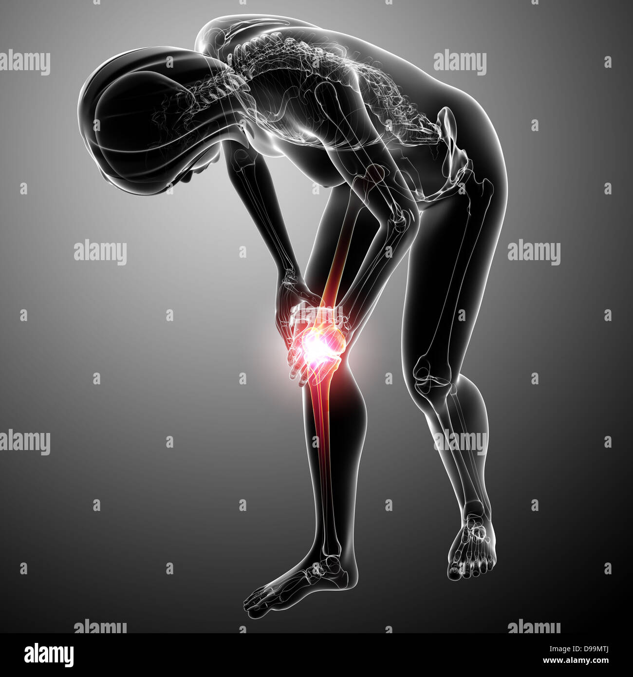 Human knee pain anatomy Stock Photo - Alamy