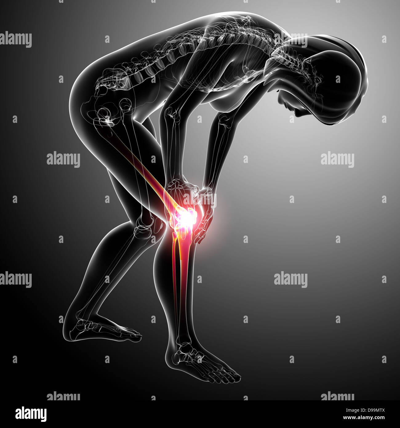 Human knee pain anatomy Stock Photo - Alamy