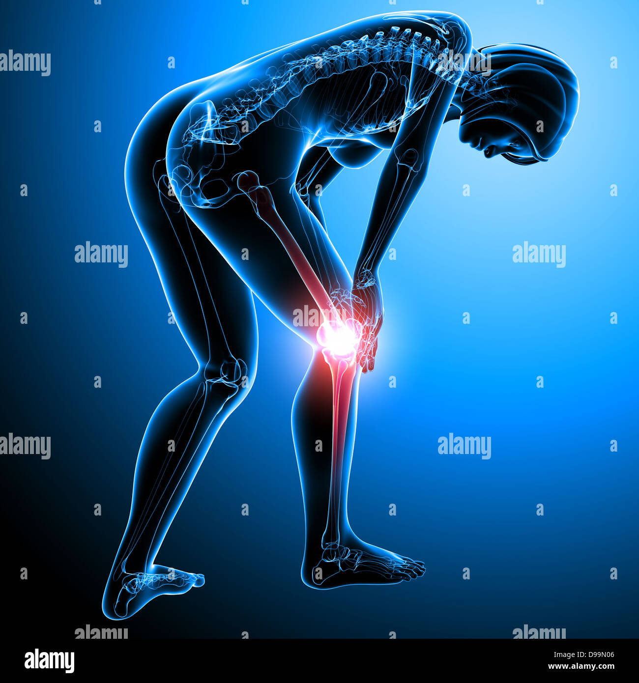 Human knee pain anatomy Stock Photo - Alamy