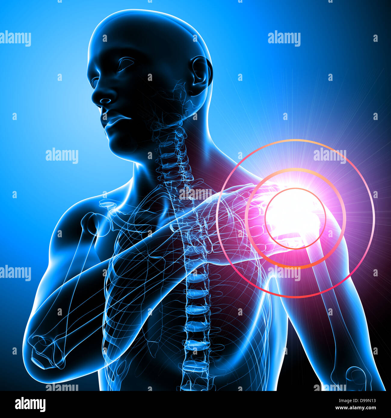 Anatomy of male shoulder pain Stock Photo - Alamy