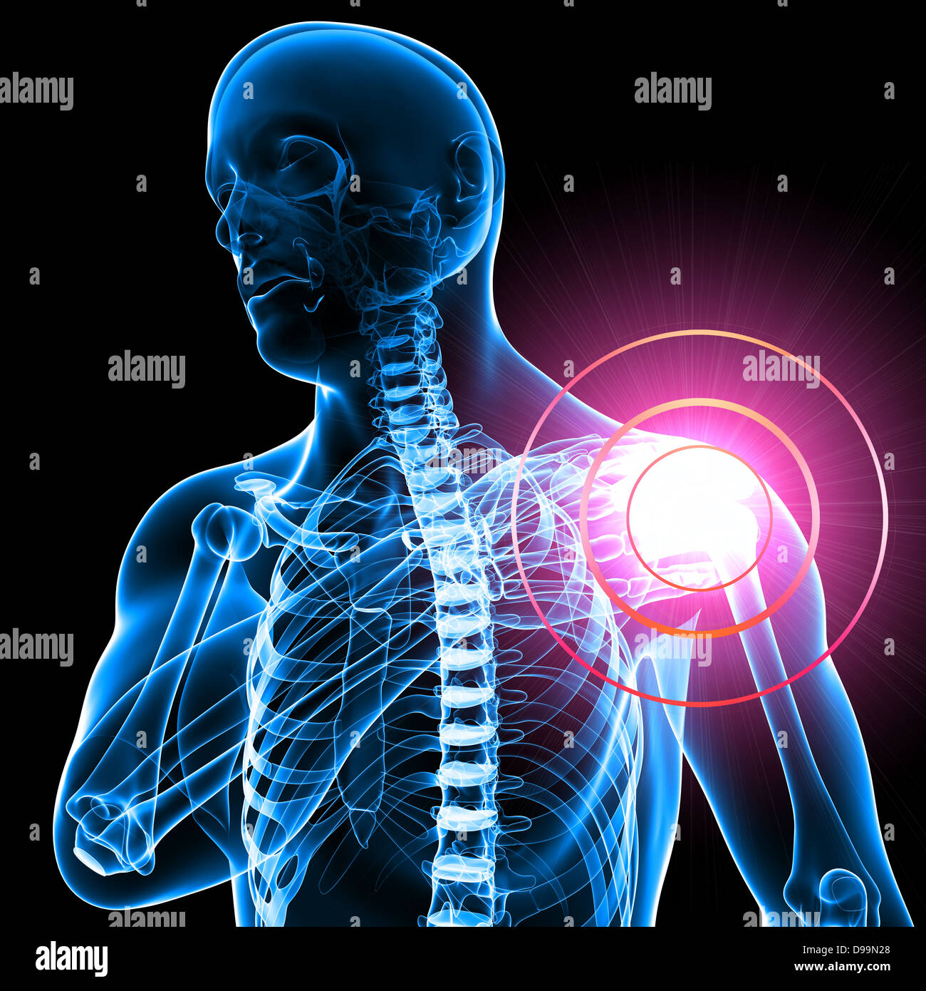 Anatomy of male shoulder pain Stock Photo - Alamy