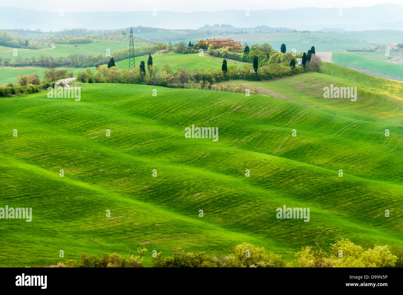 Typical Tuscan landscape Stock Photo - Alamy