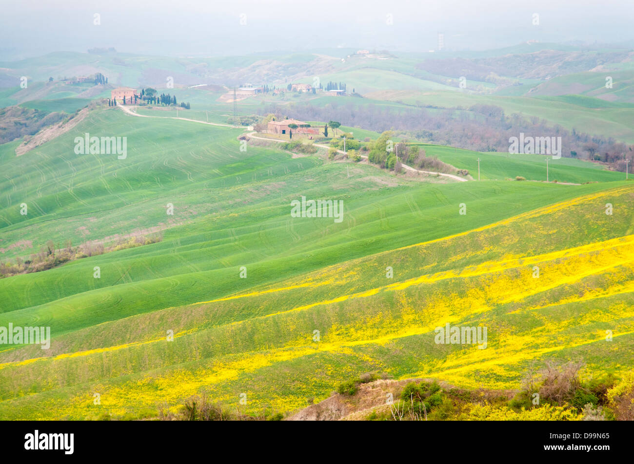 Rolling tuscan landscape hi-res stock photography and images - Alamy