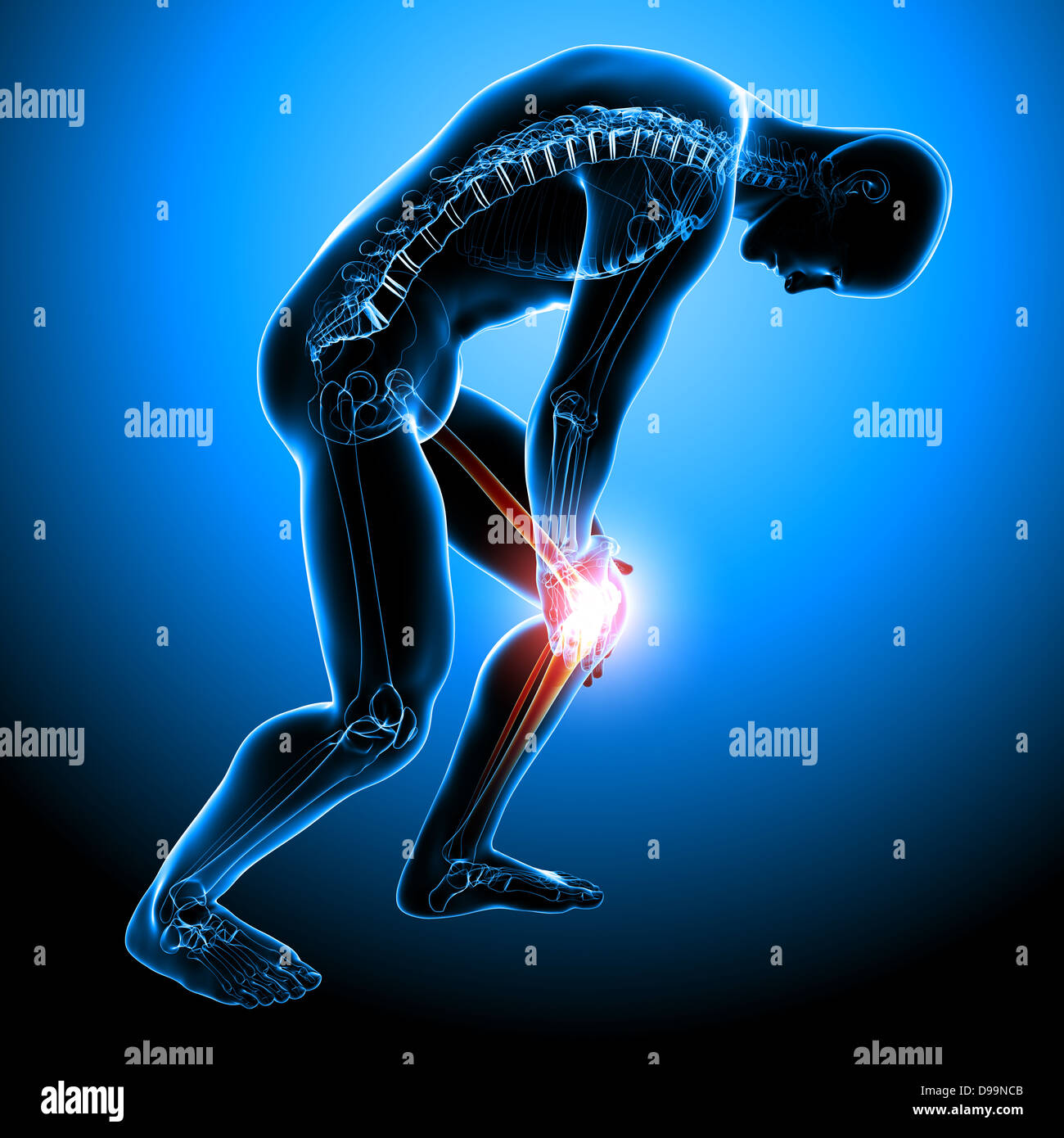 Human knee pain anatomy Stock Photo - Alamy