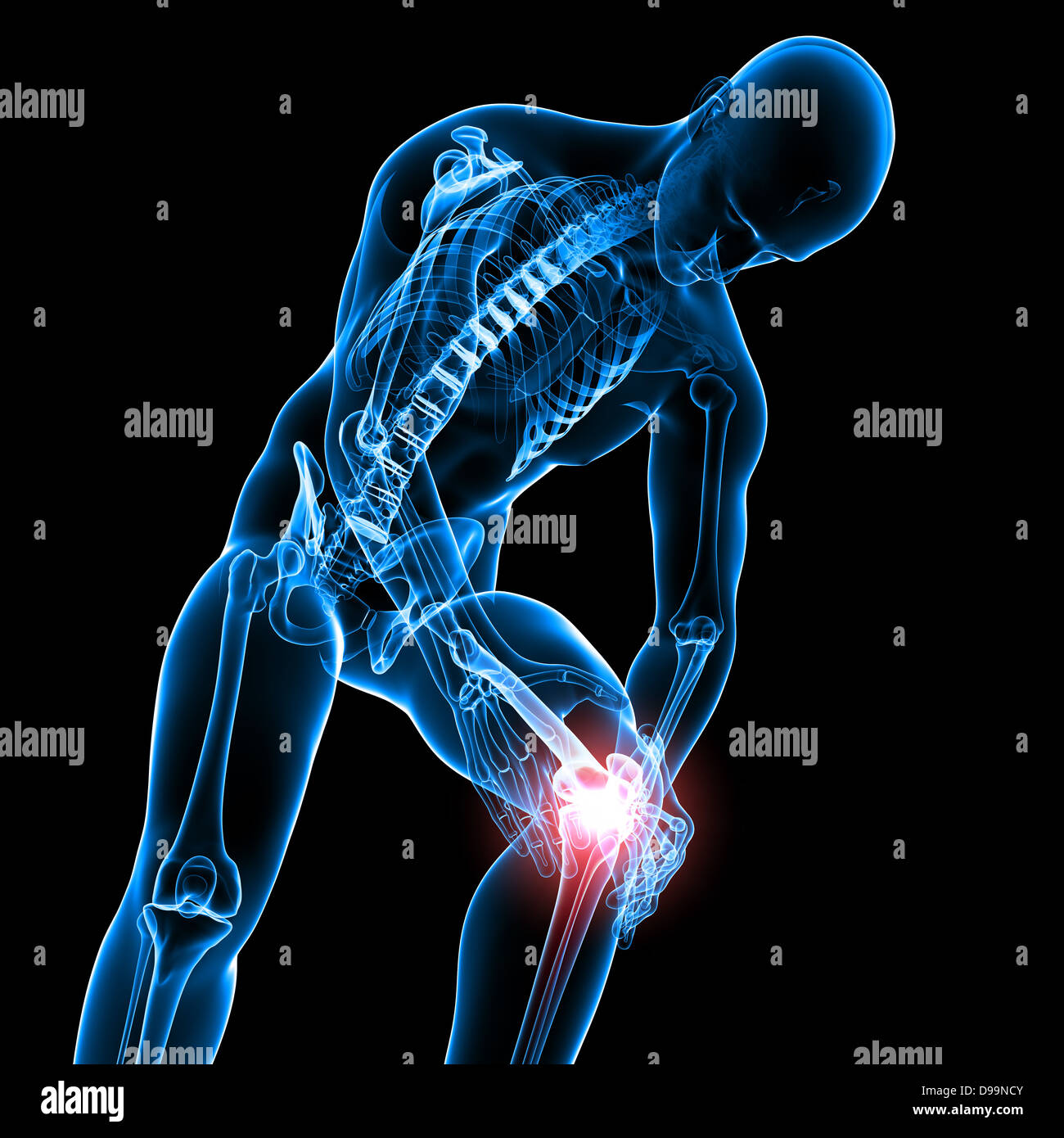 Human knee pain anatomy Stock Photo - Alamy