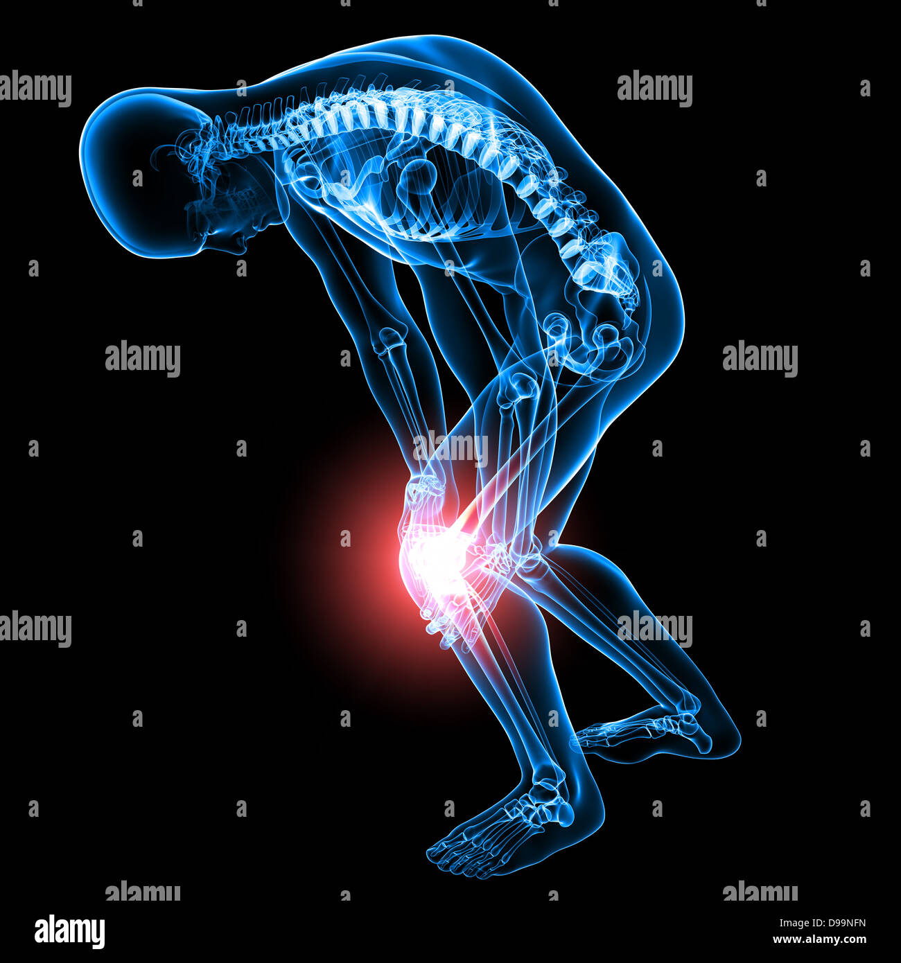 Human knee pain anatomy Stock Photo - Alamy