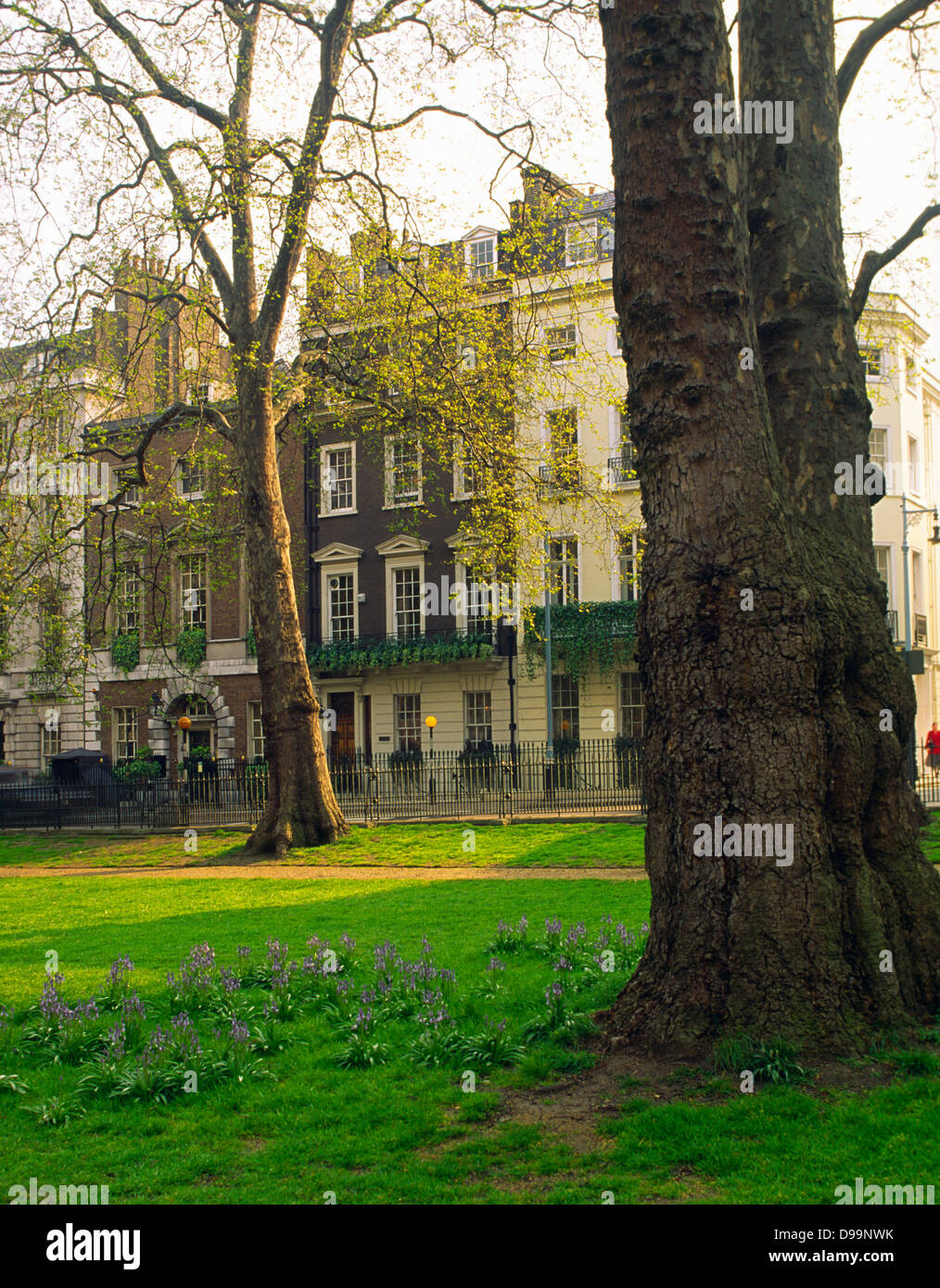 Berkeley Square in Mayfair, central London Stock Photo - Alamy