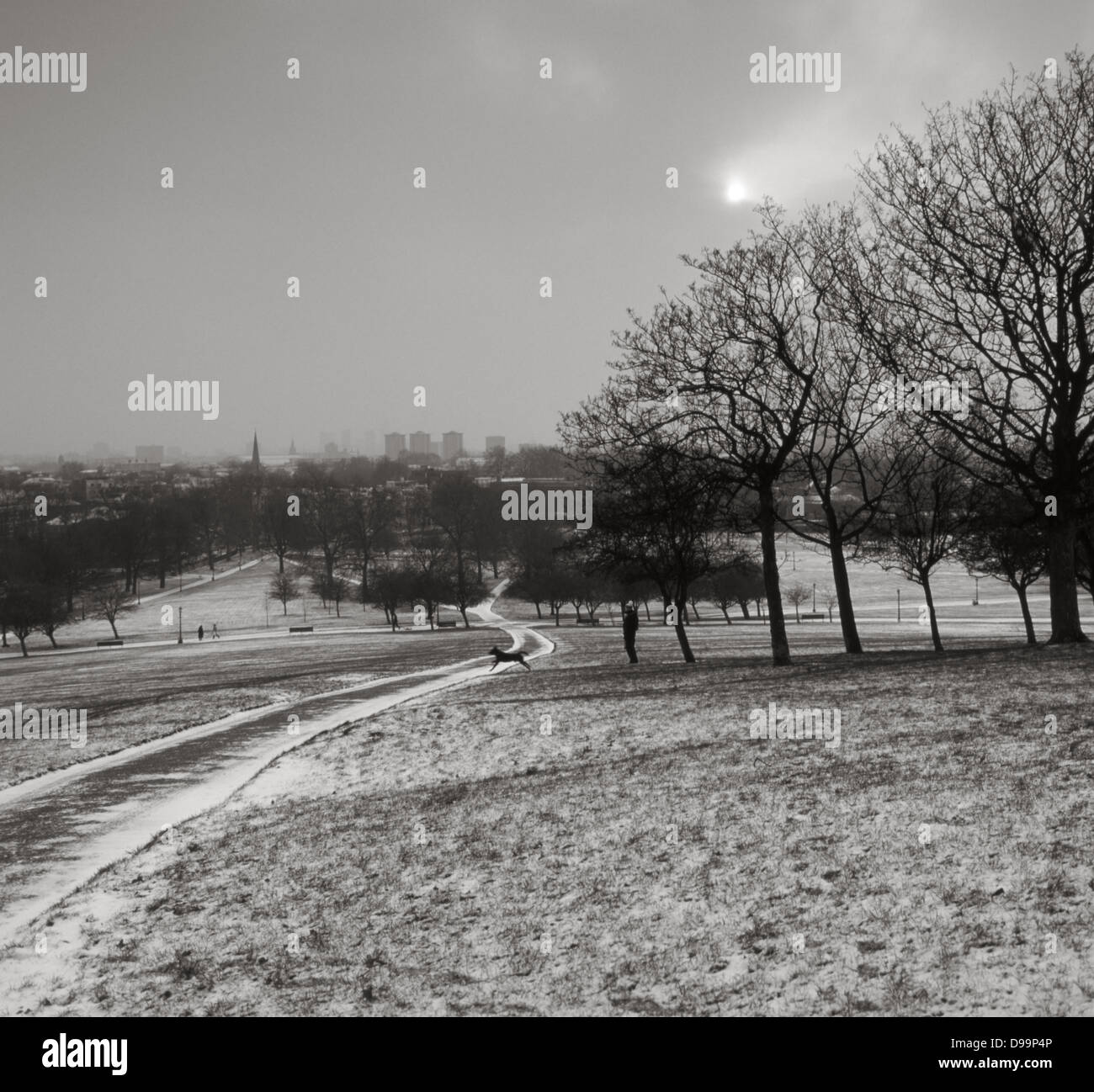 Primrose Hill park in North London in winter Stock Photo - Alamy