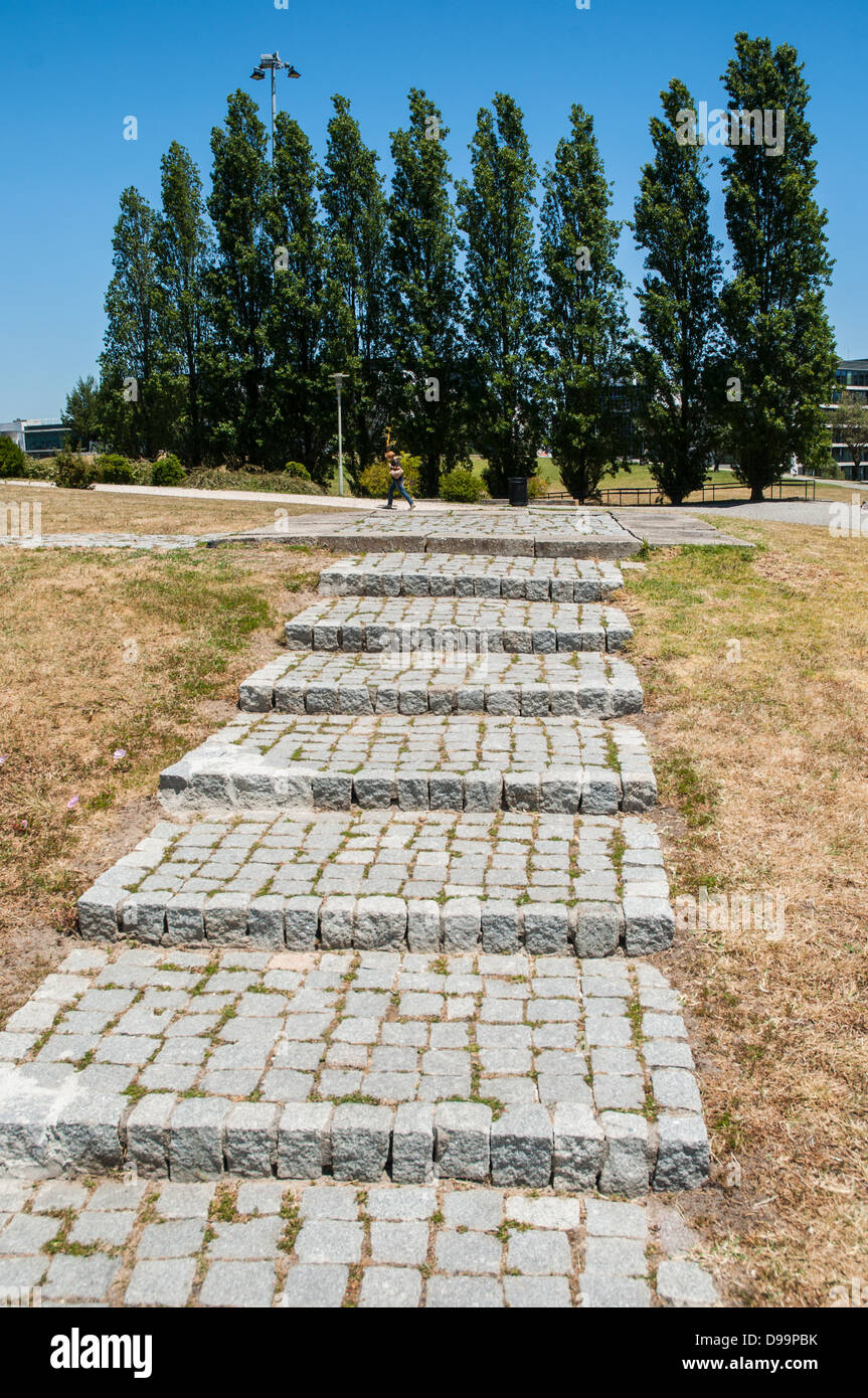 Cobblestone steps and black poplars Stock Photo - Alamy
