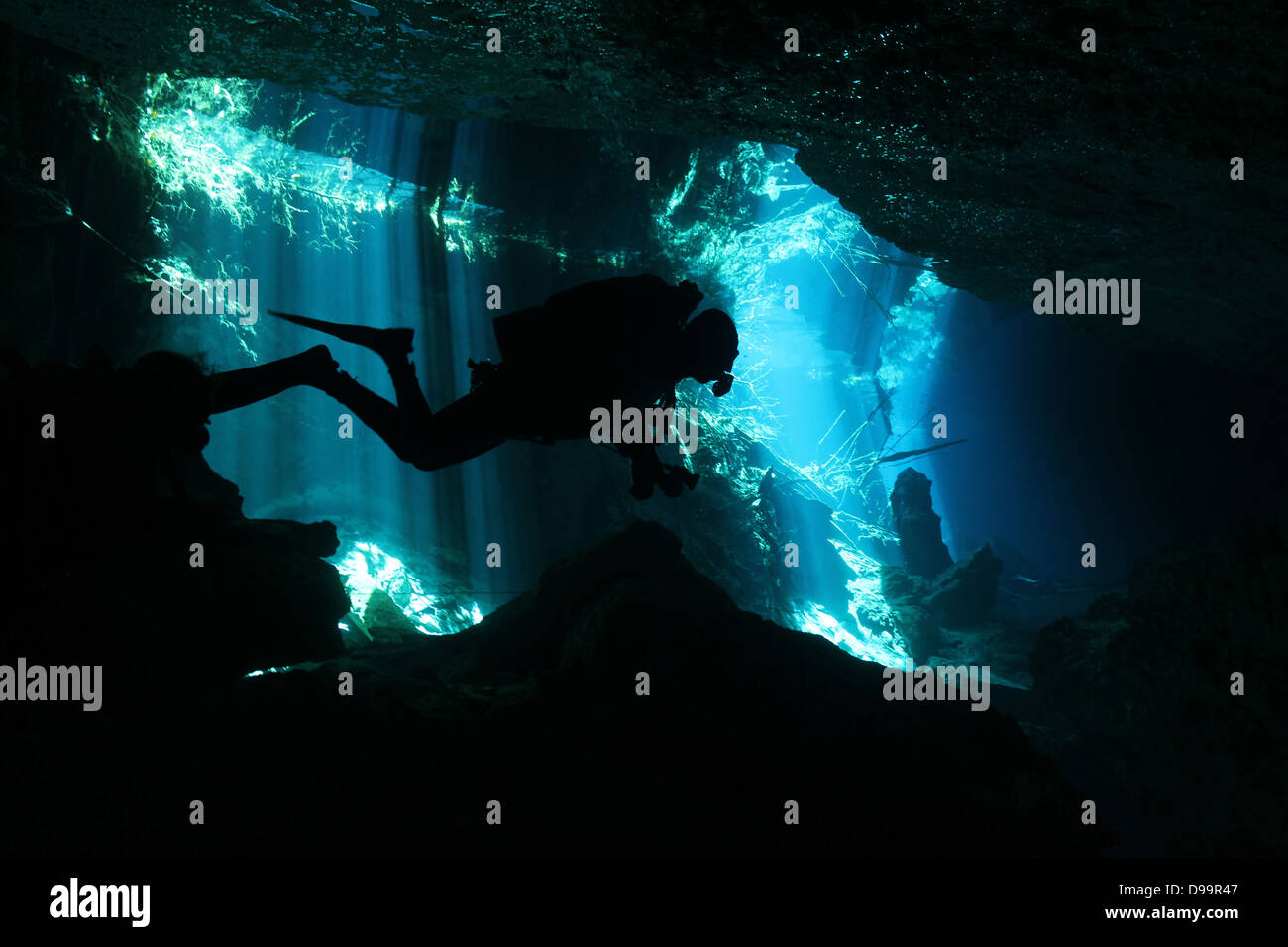 Diver in Chac-Mool Cenote, Playa del Carmen, Mexico Stock Photo - Alamy