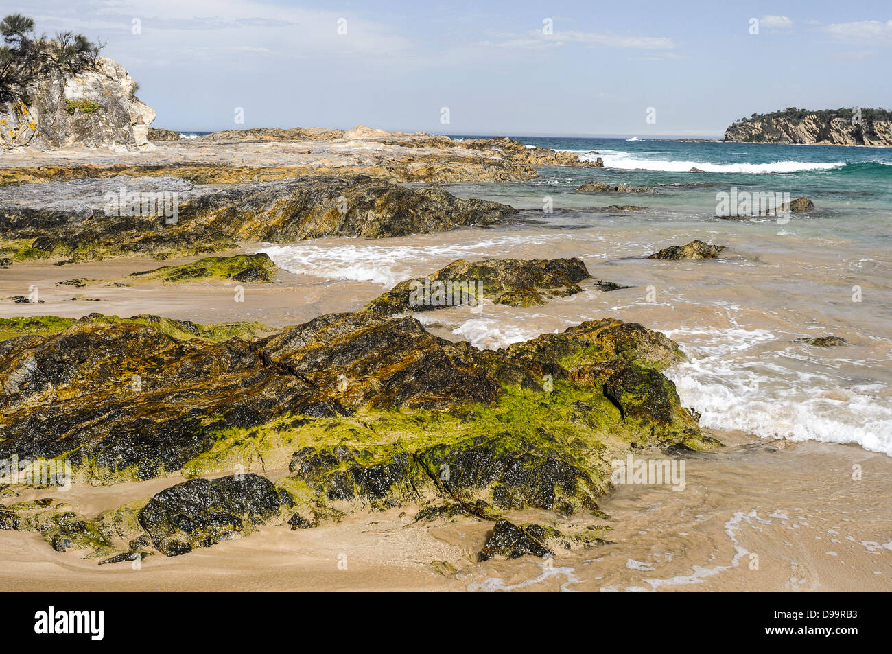 a rocky headland along Rosedale beach Stock Photo - Alamy