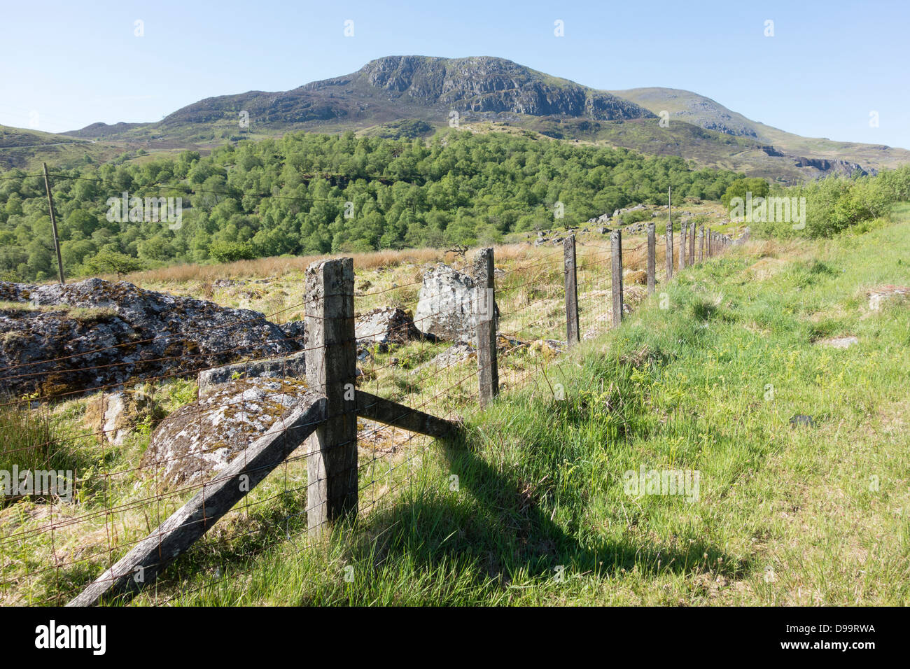 Darar fawr hi-res stock photography and images - Alamy