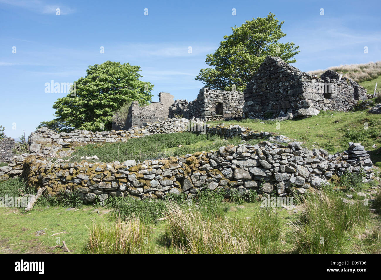 Old abandoned farm buildings in North Wales Stock Photo - Alamy