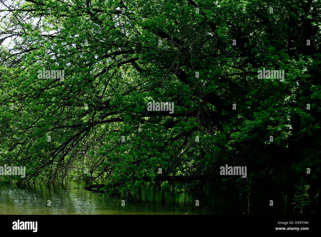 Lazy river hi-res stock photography and images - Alamy