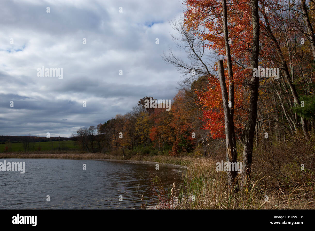 Fall foliage around a lake in upstate New York Stock Photo - Alamy