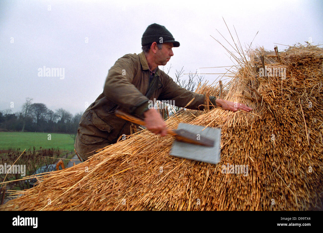Thatcher thatching hi-res stock photography and images - Alamy