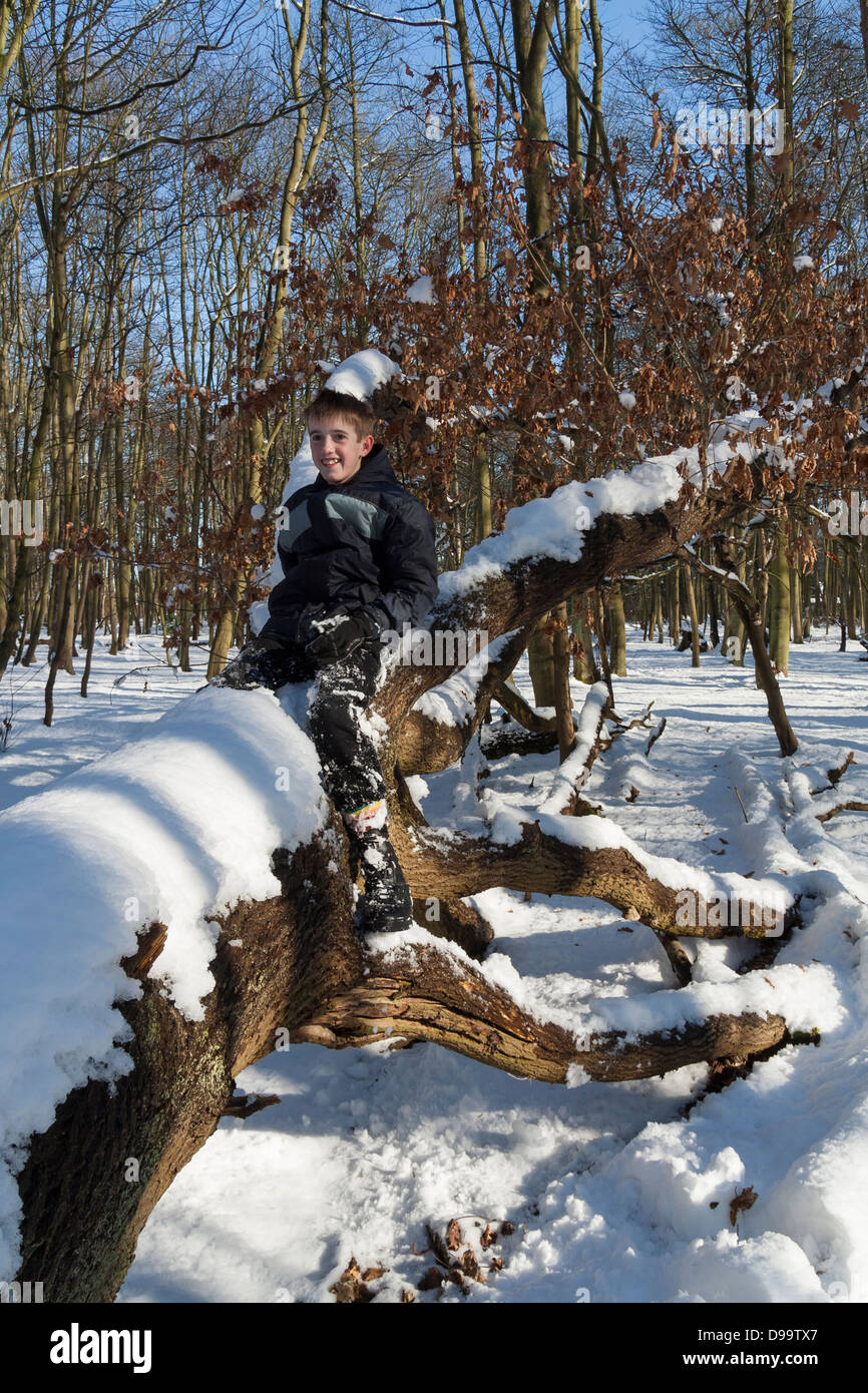 Cheeky young lad playing on a fallen tree in the winter forest snow at ...