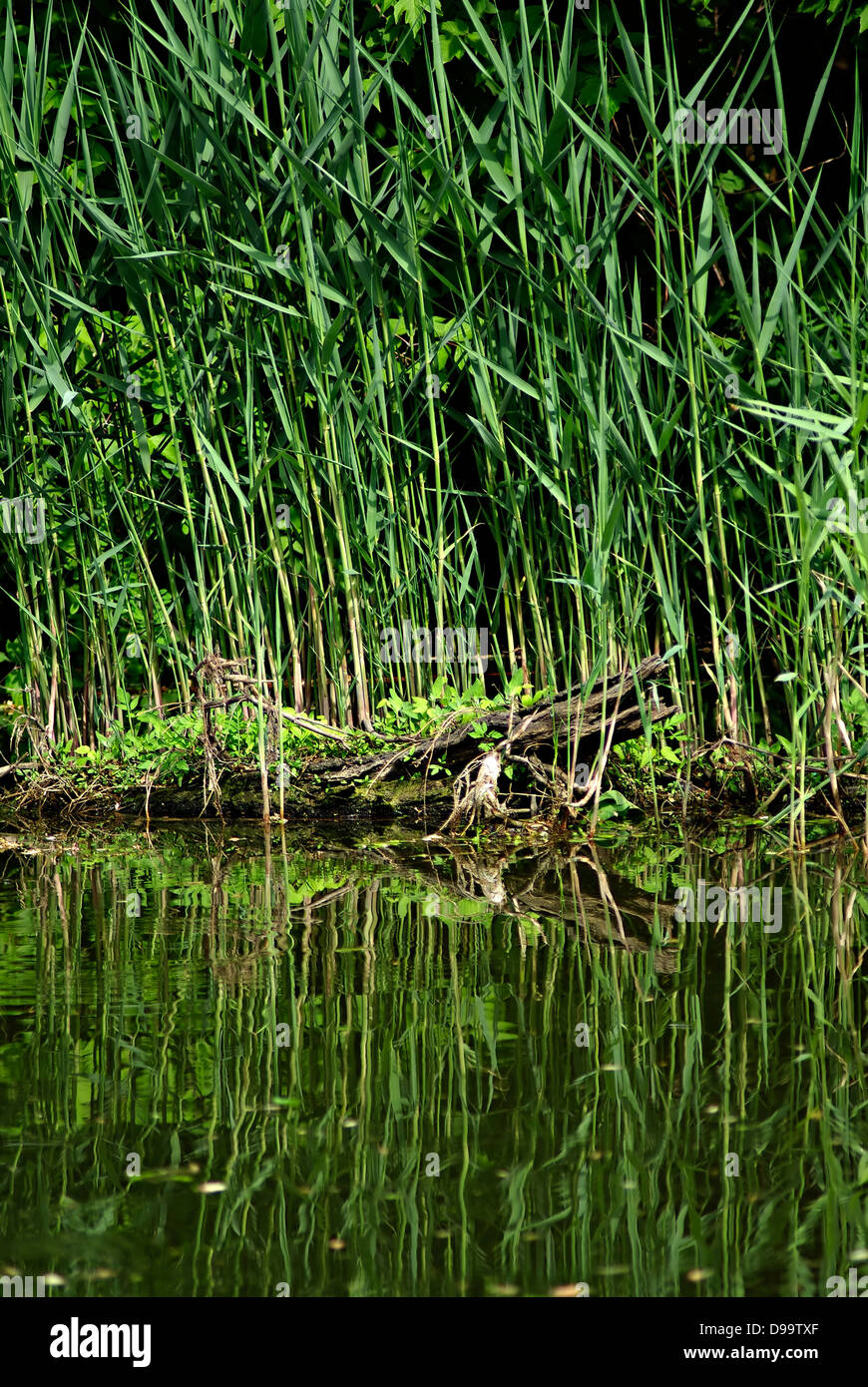 Lazy river hi-res stock photography and images - Alamy