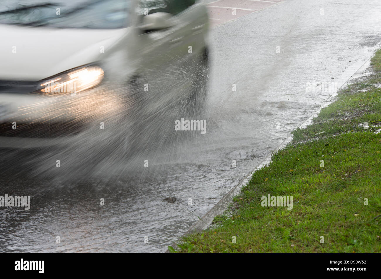 Rain Puddle Splash