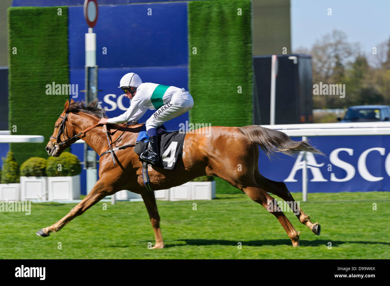 Horse Track Finish Line