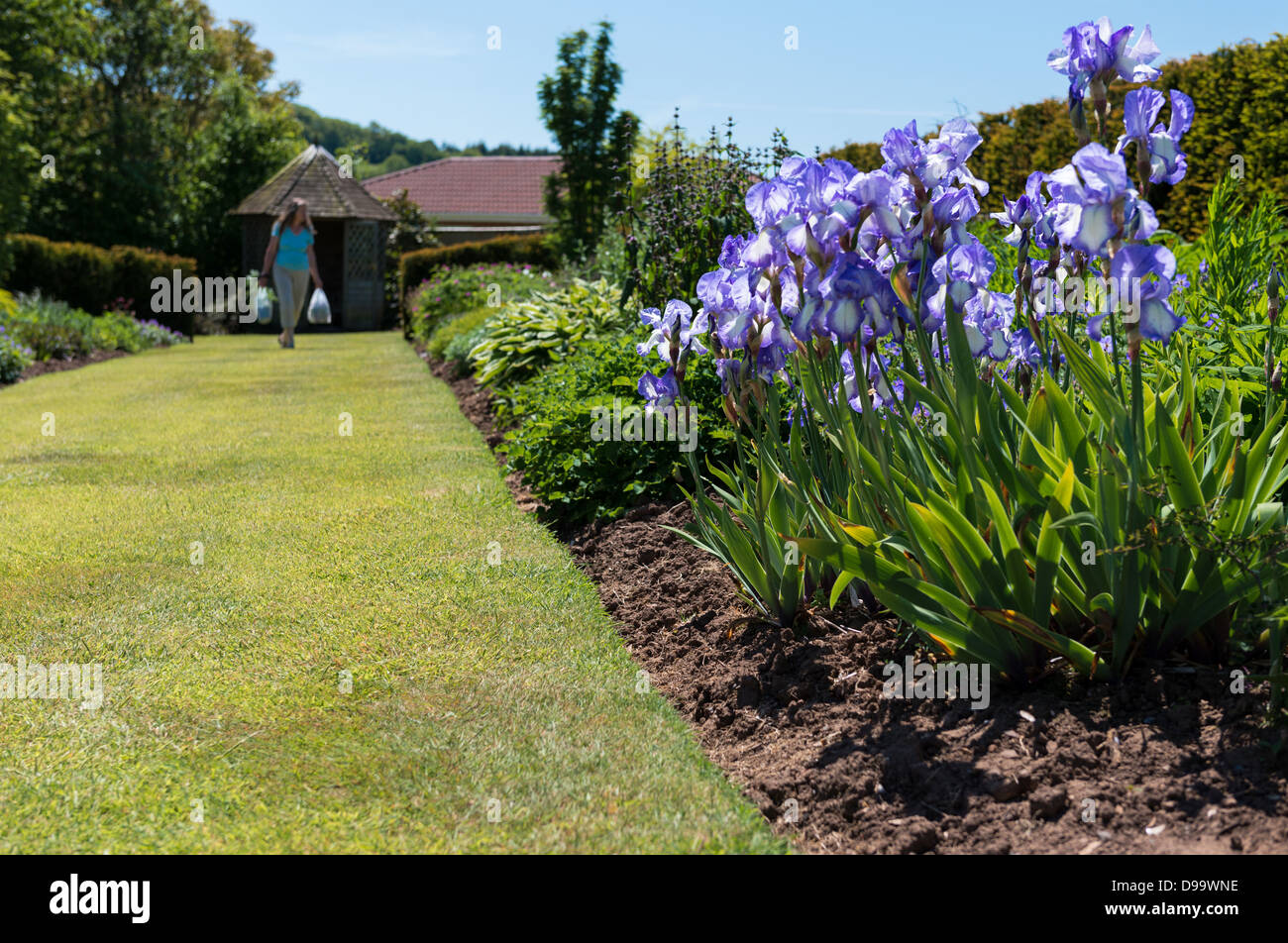English garden border hi-res stock photography and images - Alamy