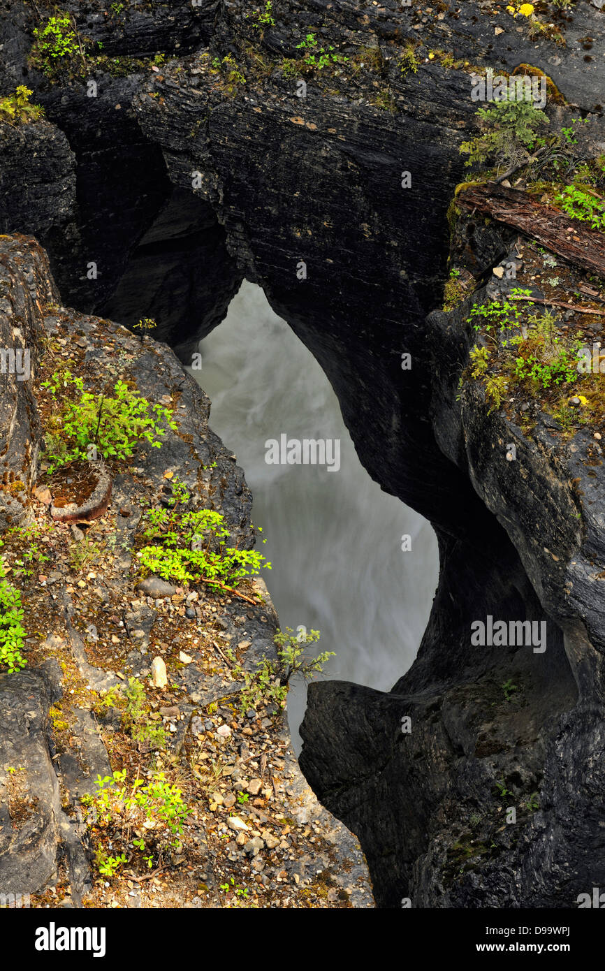 Mistaya River canyon Banff National Park Alberta Canada Stock Photo - Alamy