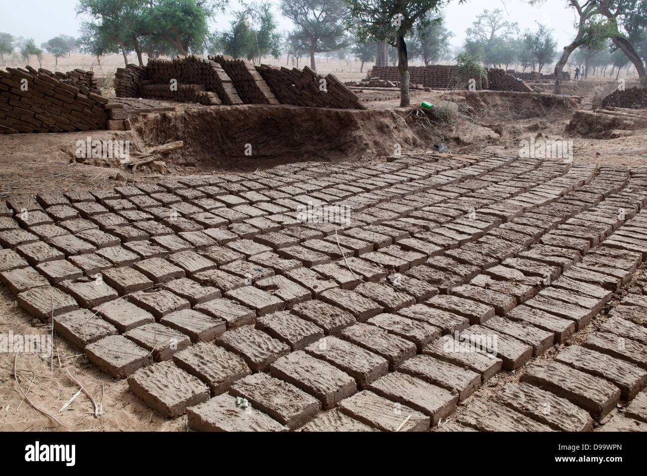 Mud bricks laying out to dry in Mali Stock Photo - Alamy