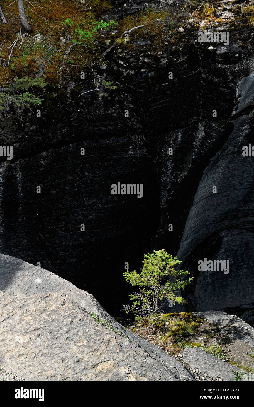Mistaya River canyon Banff National Park Alberta Canada Stock Photo - Alamy