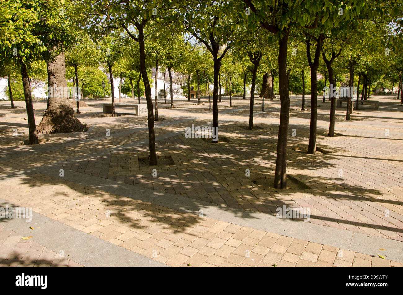 Tree shade plaza square hi-res stock photography and images - Alamy