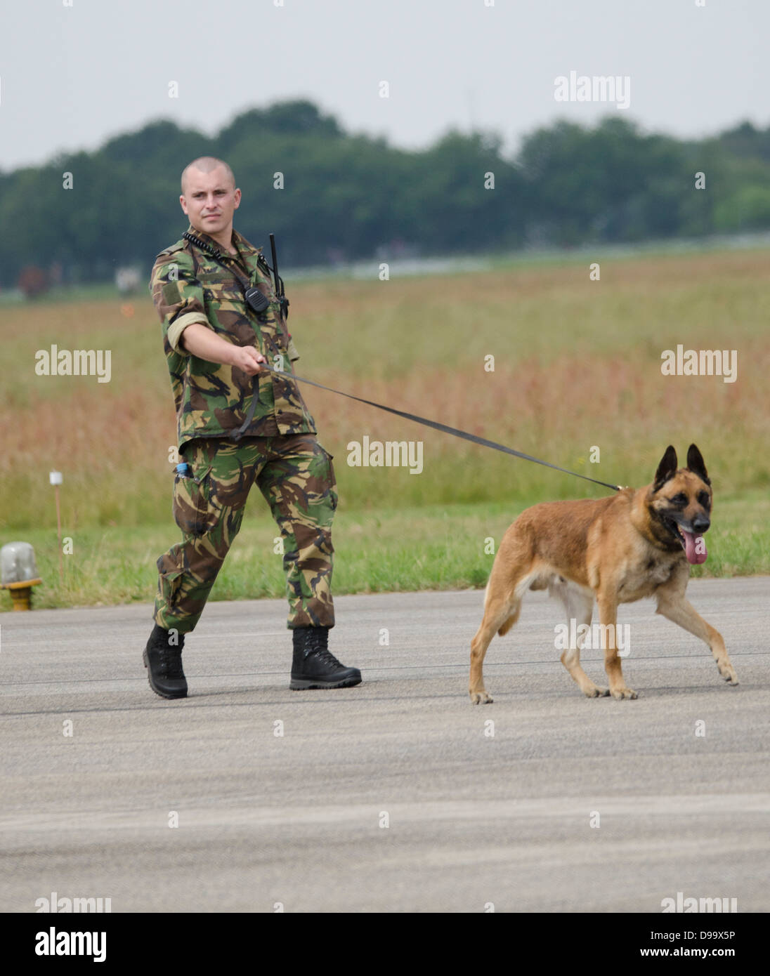 Military dog hi-res stock photography and images - Alamy