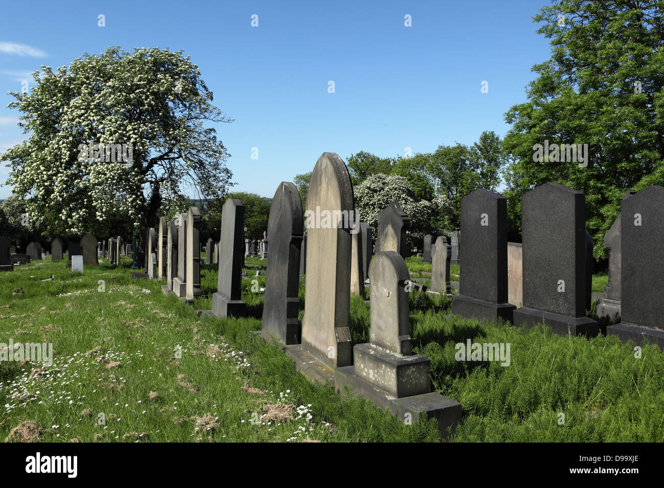 Blank Gravestone in Cemetery Stock Photo - Alamy