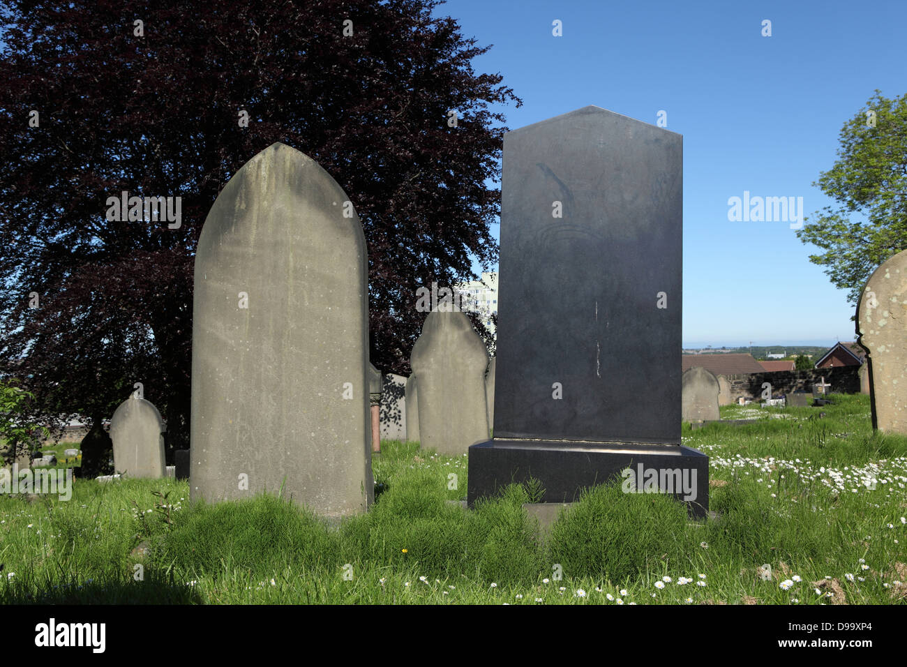Blank Gravestone in Cemetery Stock Photo - Alamy