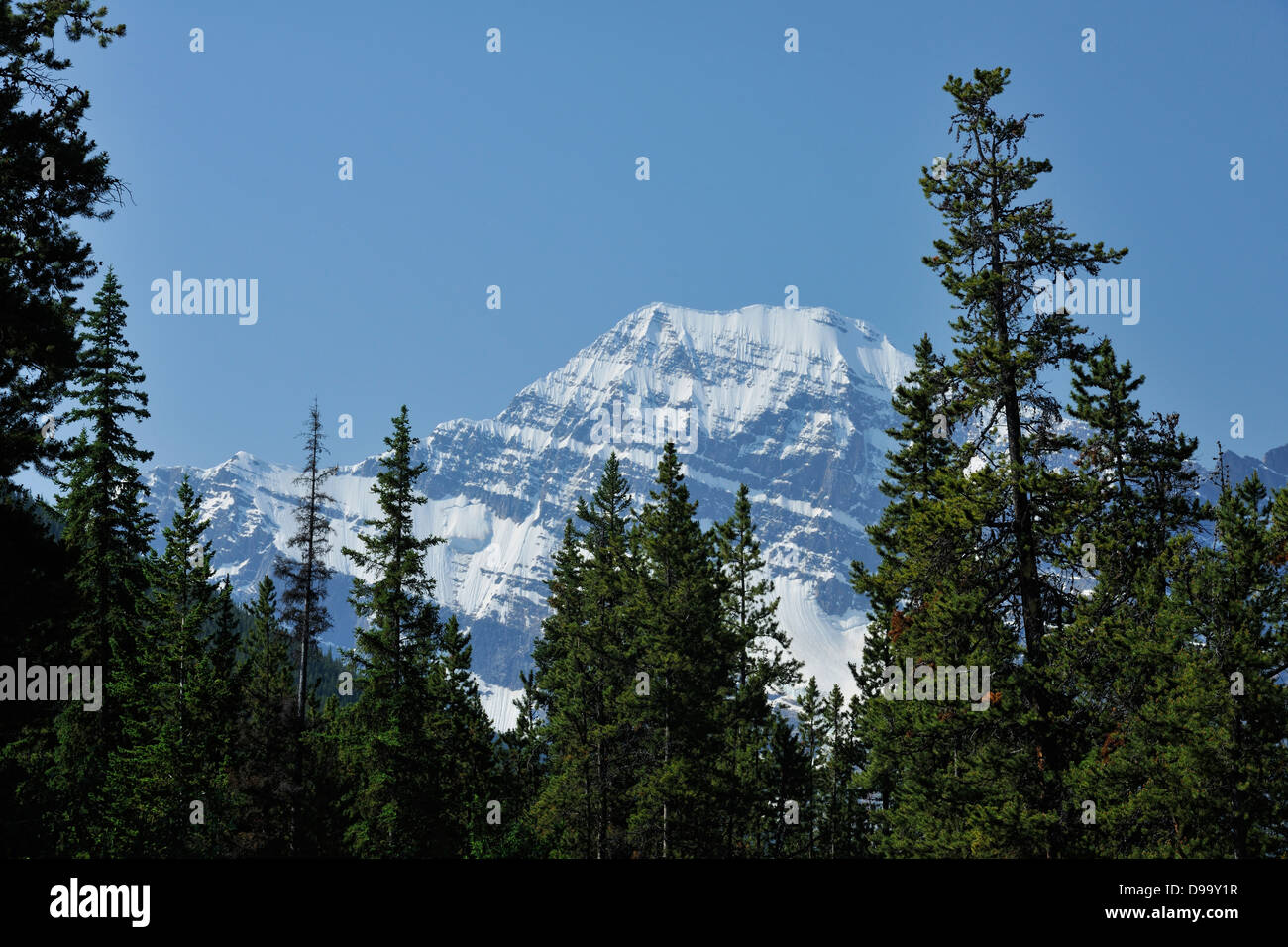 Mt. Edith Cavell Jasper National Park Alberta Canada Stock Photo - Alamy