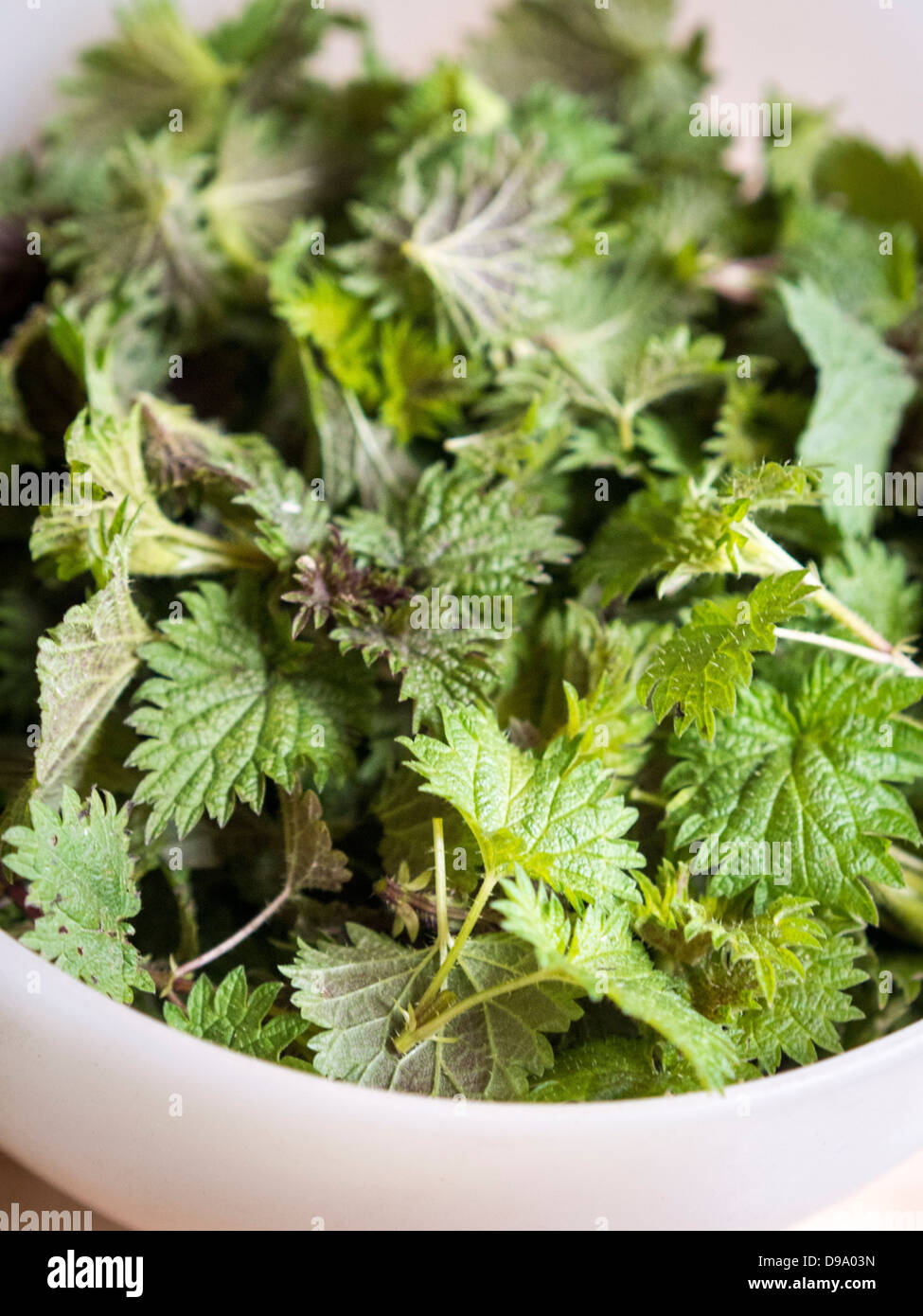 Nettles as food hi-res stock photography and images - Alamy